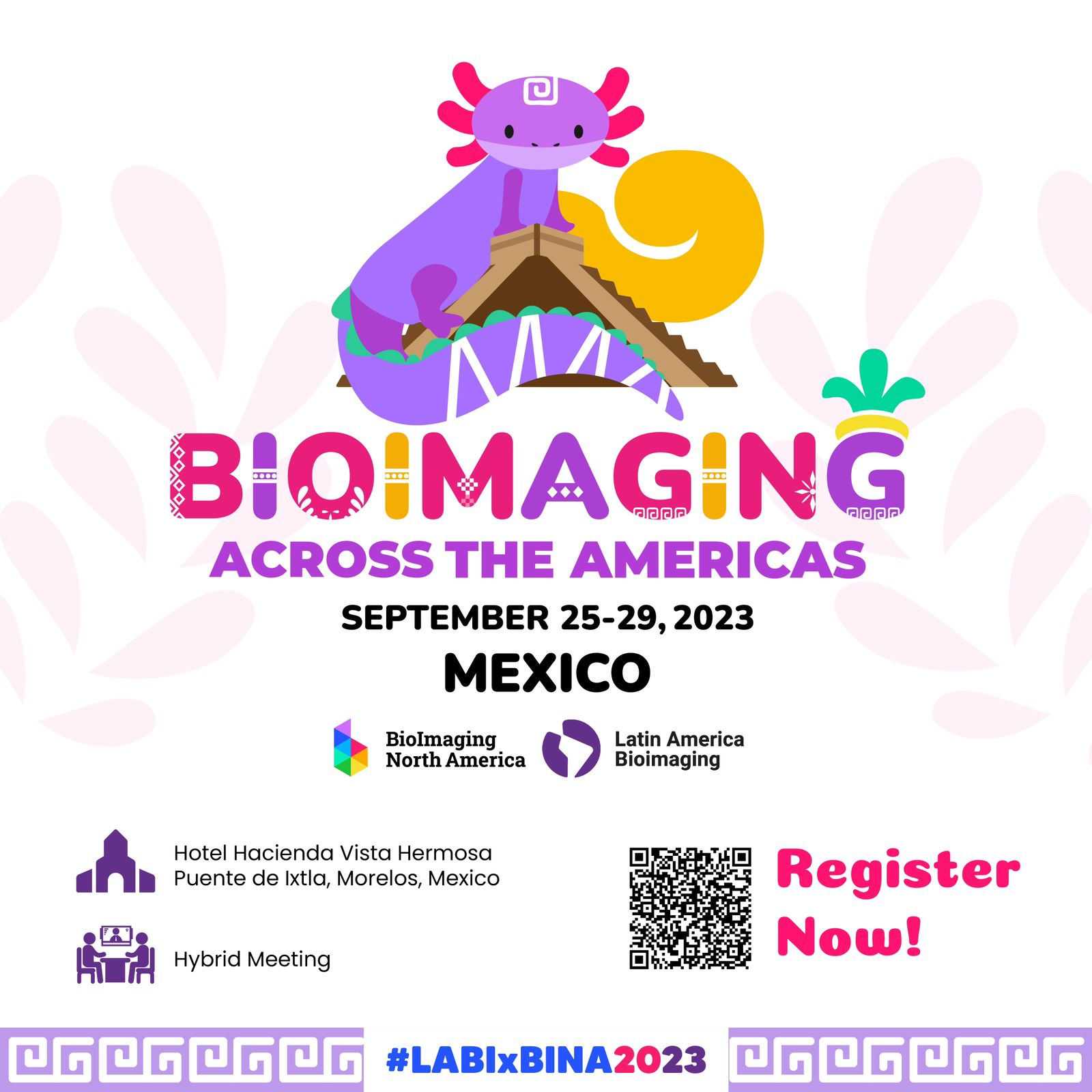 Home - Mexican Bioimaging Workshops